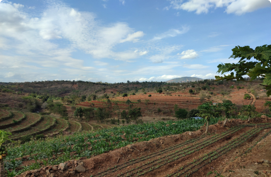 Land Soil Crop Hub Rwanda - Land Soil Crop Hub